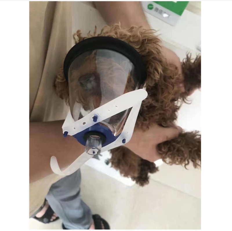 Pet Breathing Mask Small Animal Cat And Dog Breathing Oxygen Mask ...