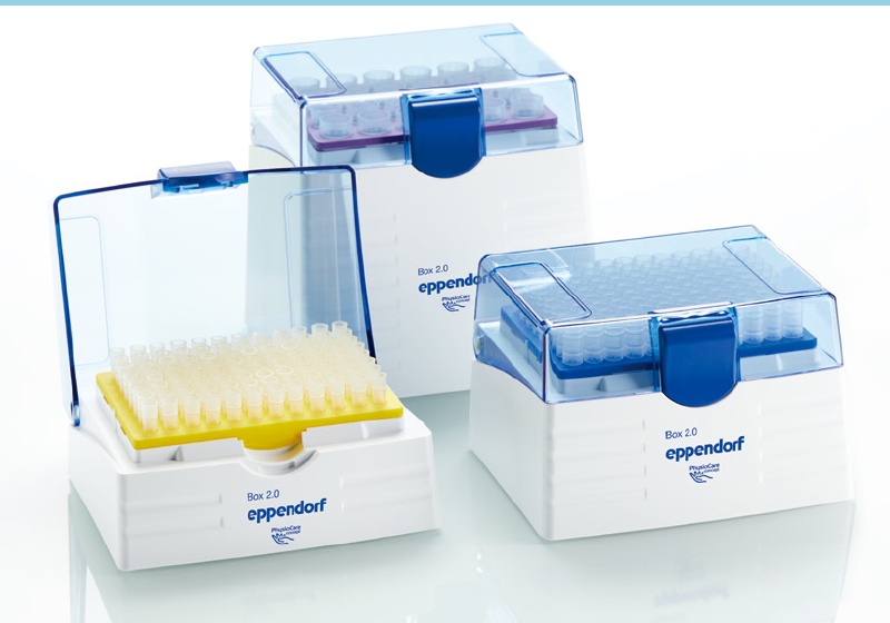 Boxed Eppendorf Sterile Pipette Tips 10ul 200ul 1000ul 5/10ml Transfer ...