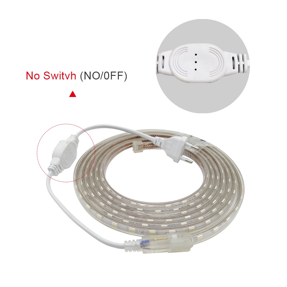 AC 220V Plug In LED Strip Light ON-OFF 5050 60LEDS/M IP65 Waterproof ...