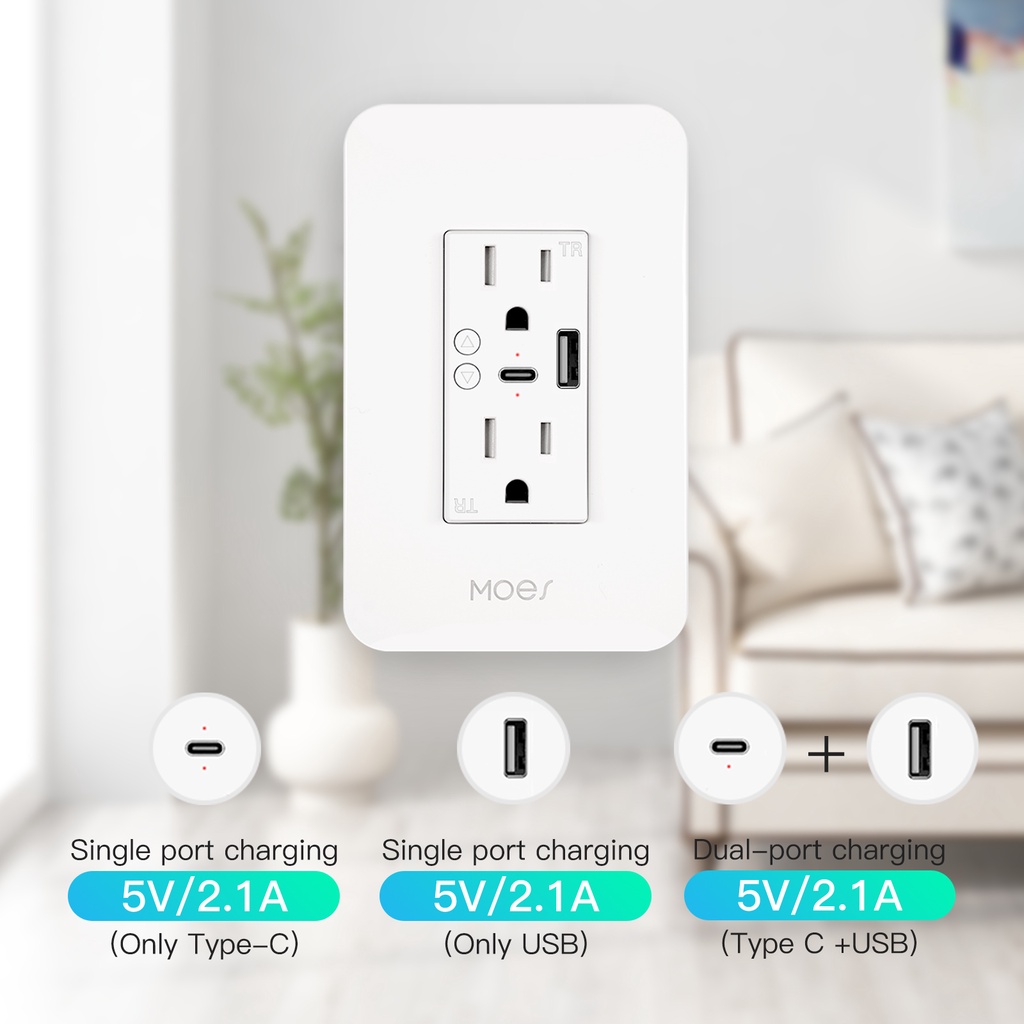 WiFi Smart Power Wall Socket with Type C And USB Dual Outlet Plug Power ...