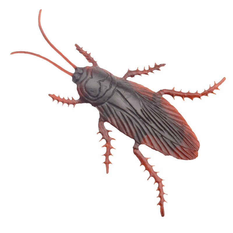 Imitation April Model Insect/Tricky/Fake Toy Cockroach Scorpion/Fly ...