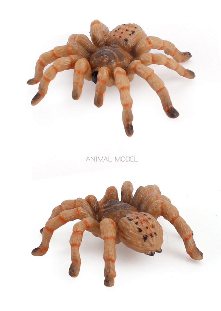Simulation Insect Solid Model Tarantula Black Spider Children Tricky ...
