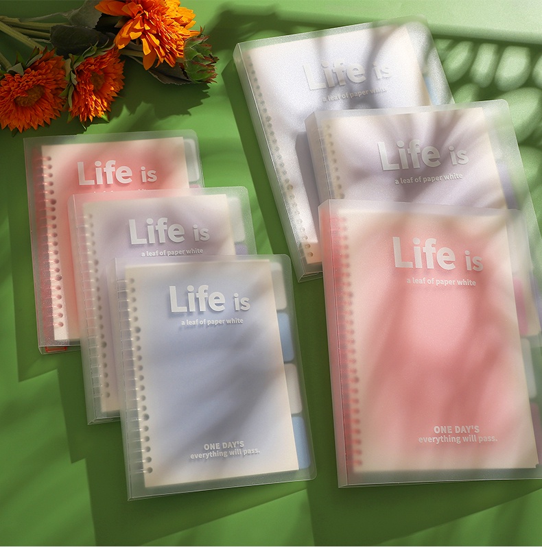 JIANWU A5 / B5 60 Sheets/ Book 20-26 Hole Matte Fantasy Colorful Refill ...