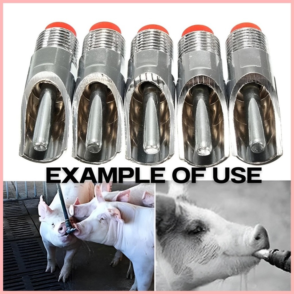 Stainless Steel Pig Nipple Drinker Water Set Pig piggery farm equipment ...