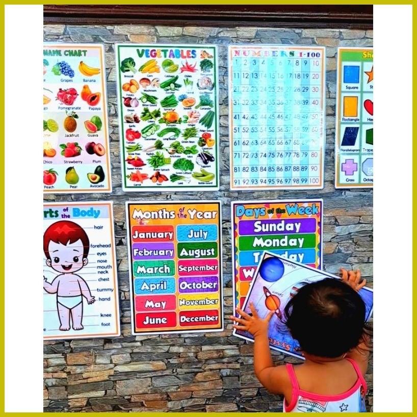 BUNDLE CHARTS LOWEST PRICE️LAMINATED EDUCATIONAL WALL CHARTS A4 SIZE ...