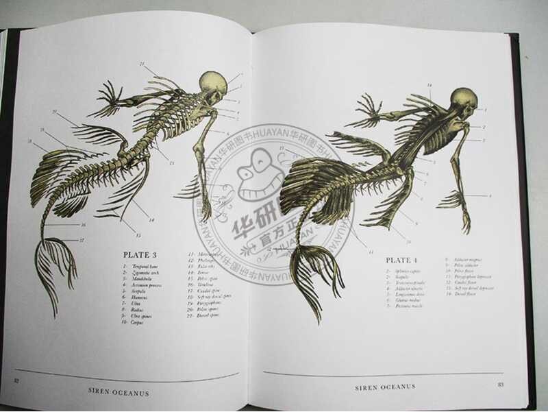 Resurrectionist Mythology: The Art Books, Extinction Animals, Ancient ...