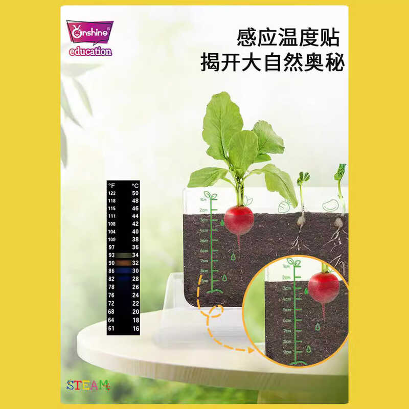 Plant Onshien Observation Window Box Transparent Root Growth Sunshine ...