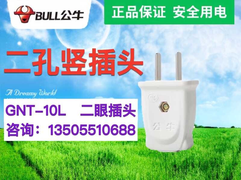 Bull 10A plug GNT-10L1 wire with two ends and two pins, two holes and ...