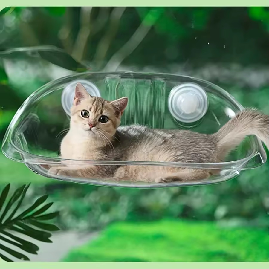 Space Capsule Cat Nest Bed Sleeping with Cat Toys Hammock Large Space ...