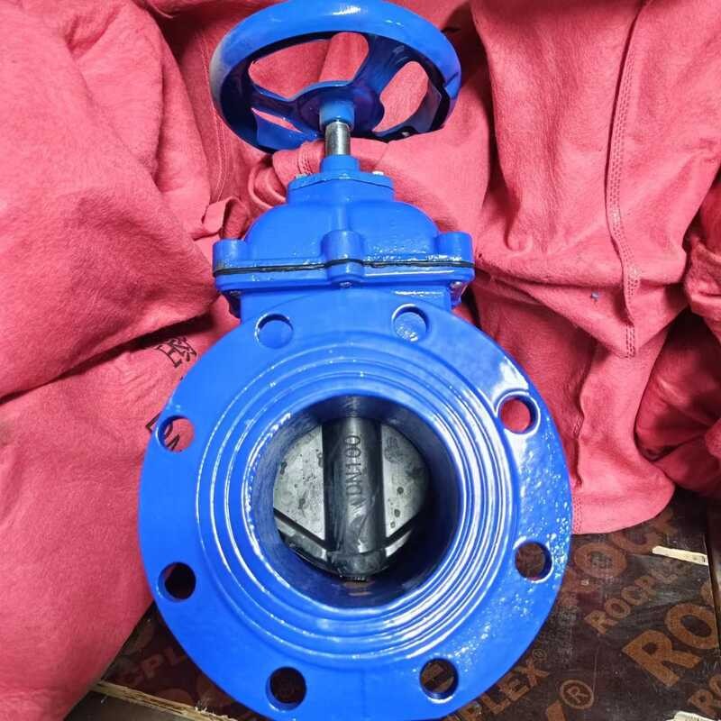 Soft Sealed Ductile Iron Baked Paint Gate Valve Z45x-1.6Q Elastic Seat ...
