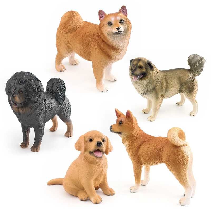 D85 Simulasyon Ng Kabataan Sa Cognitive Samoyed Labrador Shih Tzu ...