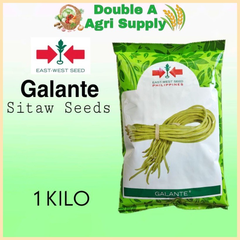 Galante Sitao / Sitaw / Yard Long Bean - East West Seed ♠ | Shopee ...