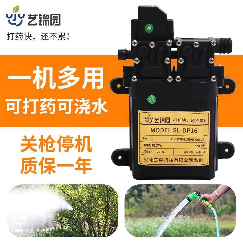 Electric Sprayer 12V Dual Core Diaphragm Fruit Tree High Pressure DC ...