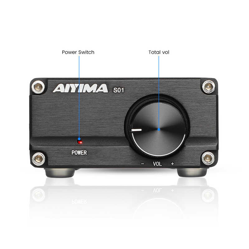 100W AIYIMA Subwoofer Power Amplificador Tpa3116 Sound Amplifier Mono ...