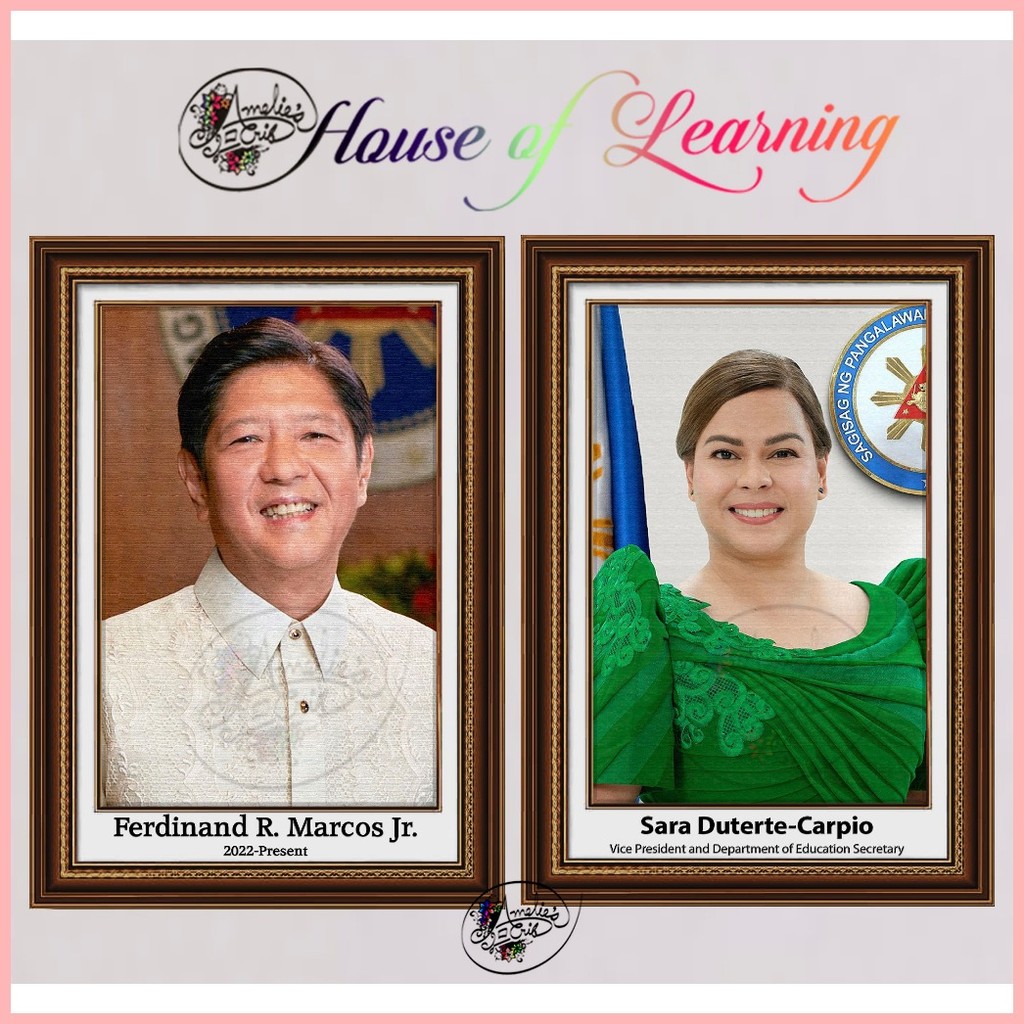 Deped Vision, Mission and Core Values Educational Laminated Chart A4 ...