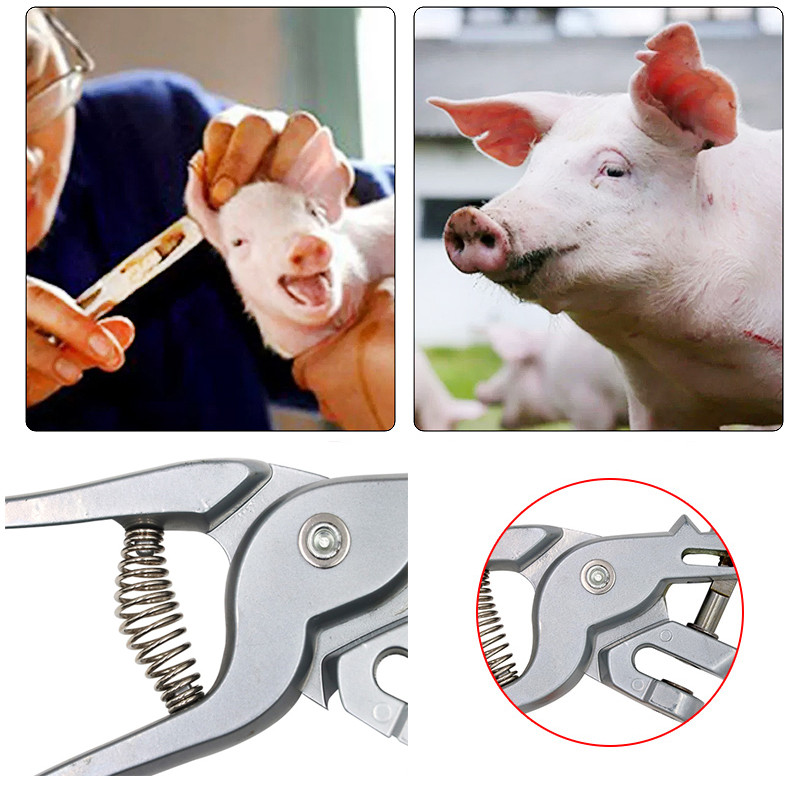 Ear Marking Pliers Pig Ear Notcher Ear Piercing Heavy Duty Tools for ...