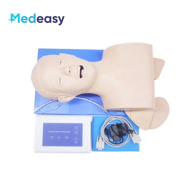LY Adult Electric Endotracheal Intubation Training Manikin Child ...