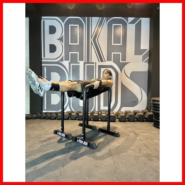 ۩ ♀ Prime dip bar with FREE Tools powder coated parallel Dips bars for ...