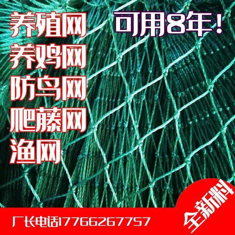 Chicken raising net, mountain chicken net, chicken and poultry breeding ...