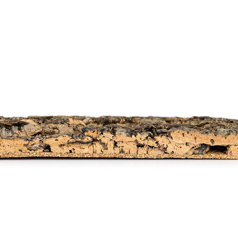 Reptile Hiding Cork Tree Bark Natural Champagne Cork Bark for Tarantula ...
