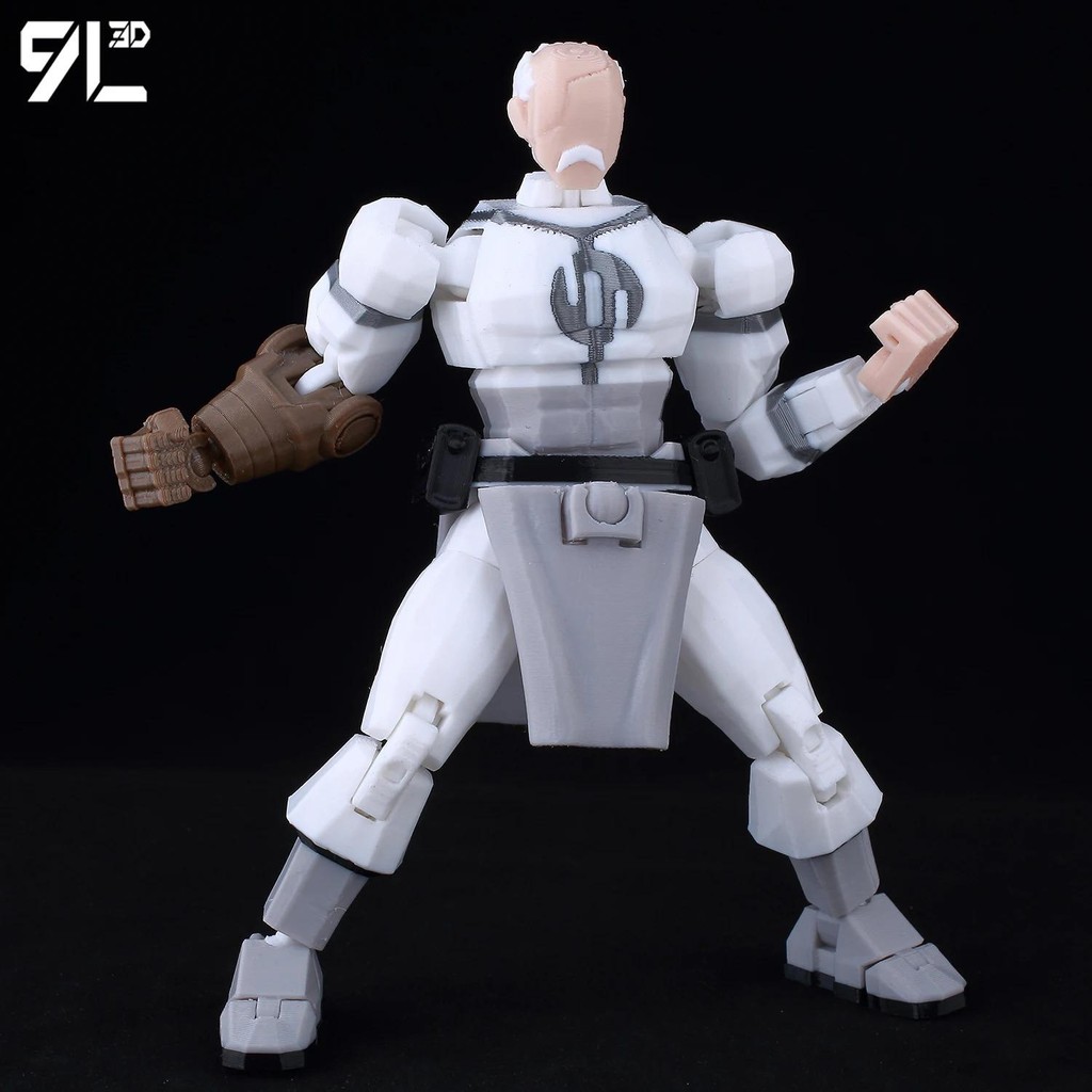 Lucky13 T13 Action figure 9L3D Printed Superheroes Invincible 2.0 Anime ...