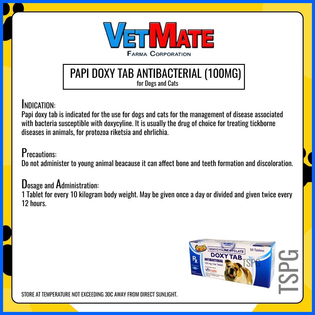 ¤ Papi Doxy Tab Antibacterial for Dogs and Cats 100mg per 10 pcs ...