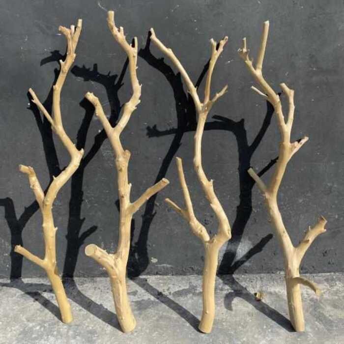 Dry branches, natural wood branches, art, dry branches, dead branches ...