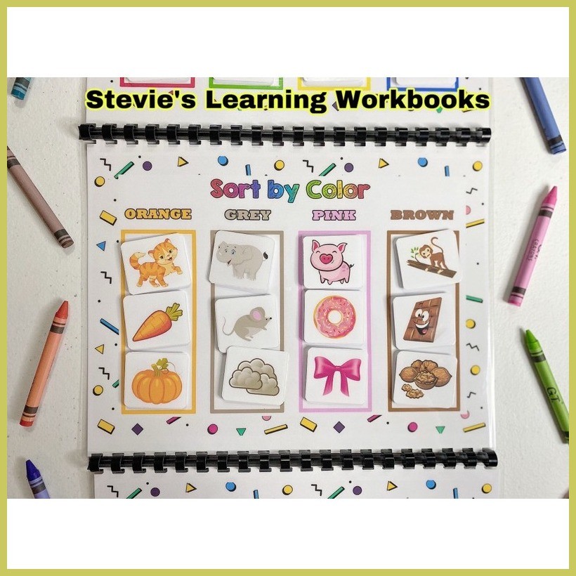 ⭕ COLOR RECOGNITION- Interactive laminated detachable busy book/quiet ...