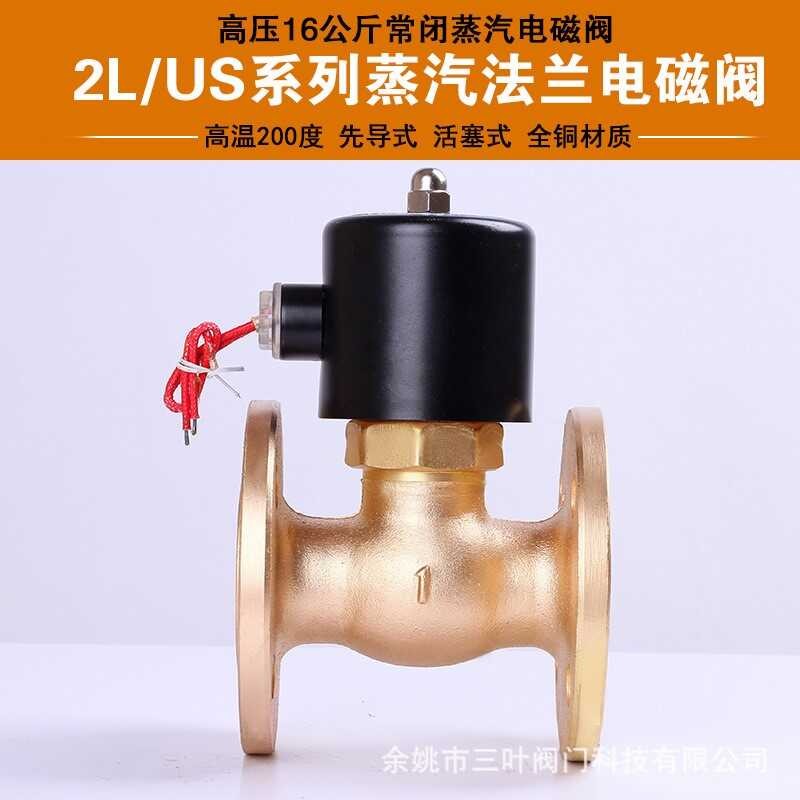 2L/US 200 degree solenoid steam boiler relief high pressure 16kg copper valve AC220V 24V ...