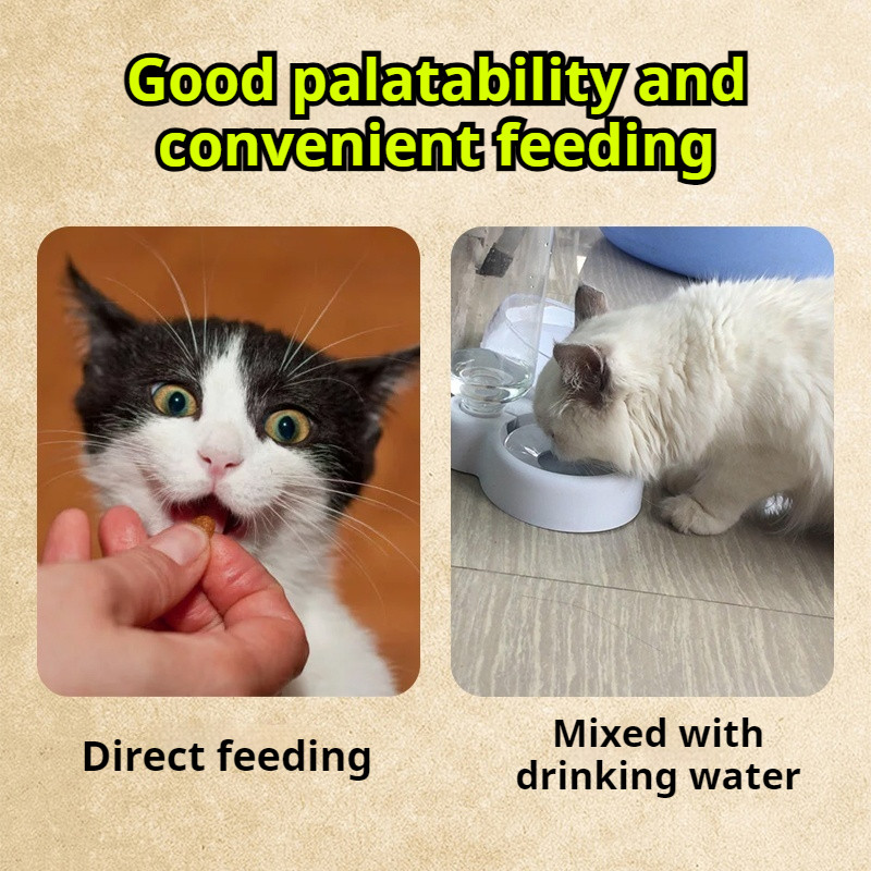 Pet liver and kidney protection, nutritional supplementation, treatment ...