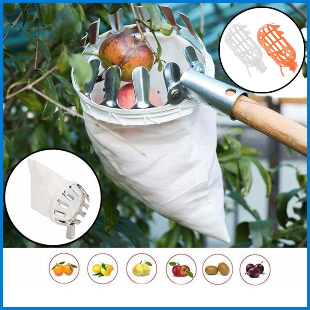 Fruit Picker Orchard Gardening Apple Peach High Tree Picking Tools ...