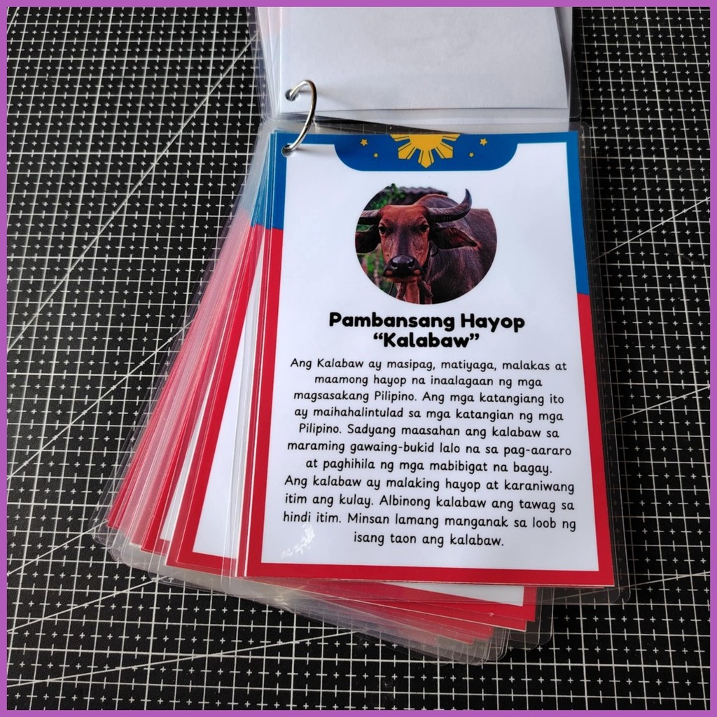 Mga Pambansang Sagisag ng Pilipinas Laminated Flashcards for ...