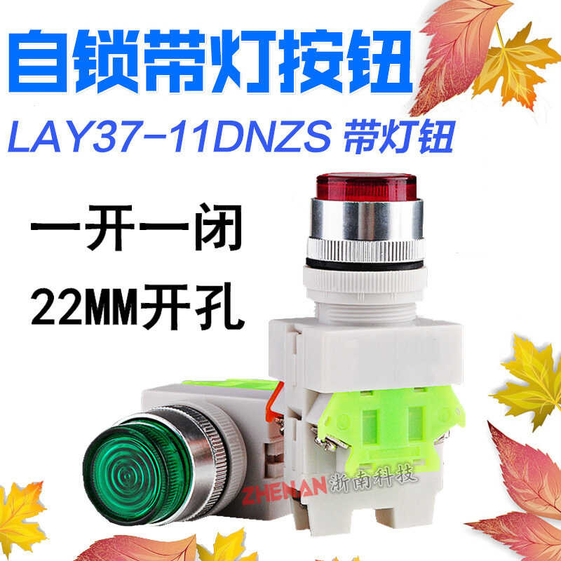 LAY37-11DZS PBC with light button switch self-locking Y090 LAY7 24V220V ...