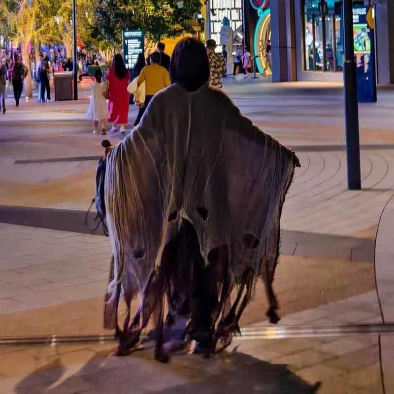Harry Potter Dementor Cloak, Horror Reaper, Ghost Halloween Cosplay ...