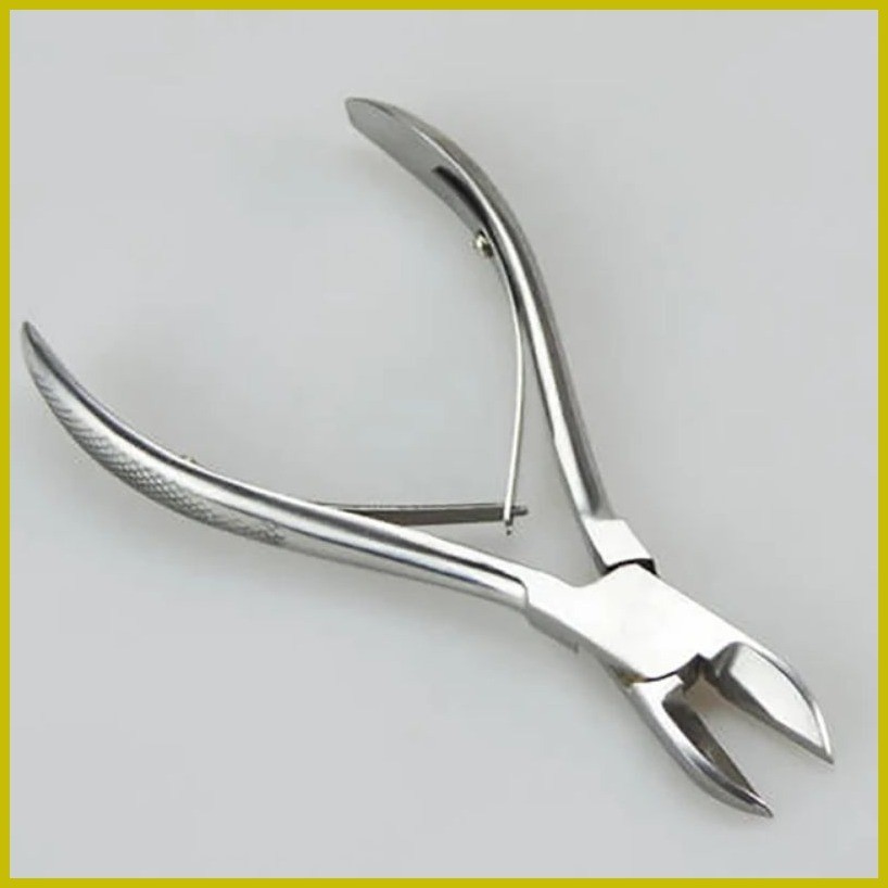 ๑ Stainless Teeth Cutter for Piglets /Pamputol o pambawas ng ngipin ng ...