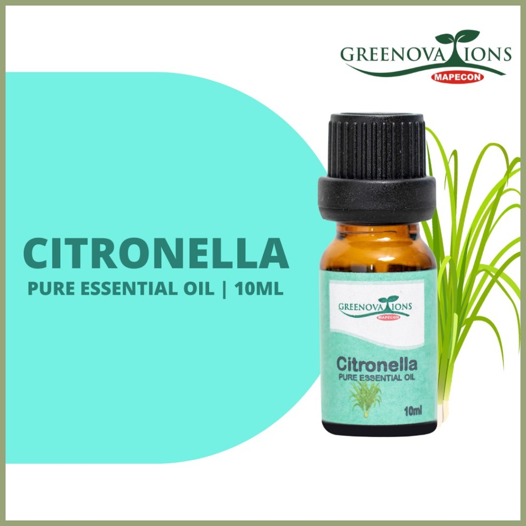 ⌚ ⊙ ♟ CITRONELLA Pure Essential Oil - 10ML | Shopee Philippines