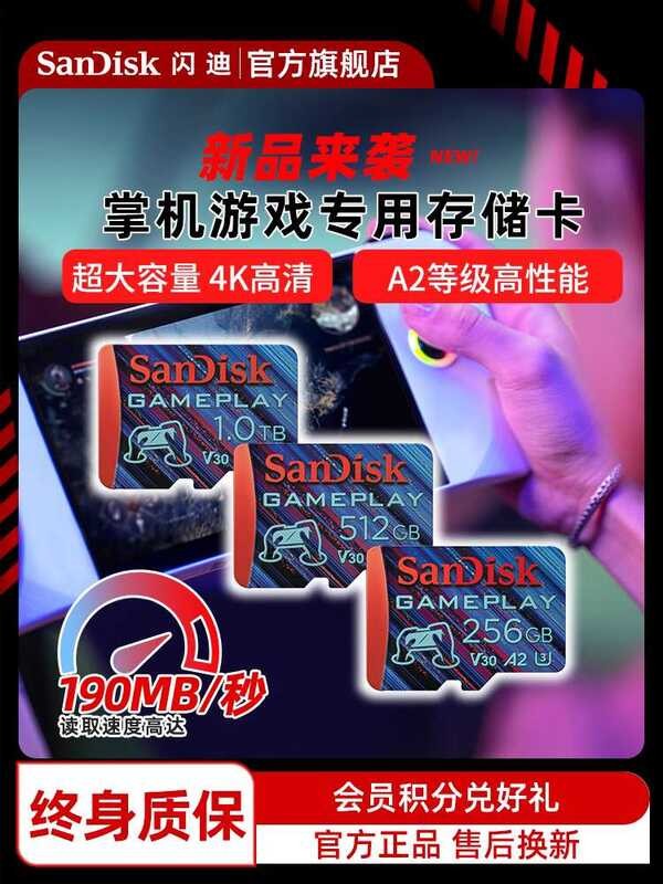 SanDisk Gameplay High-Speed Game Storage 4K Recording Steam Deck ...