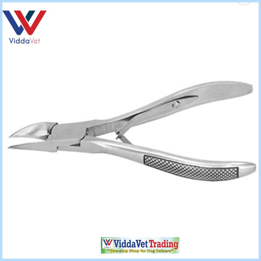 Stainless Steel Pig Piglet Tooth Cutter Tooth Pliers Distal Piglet ...