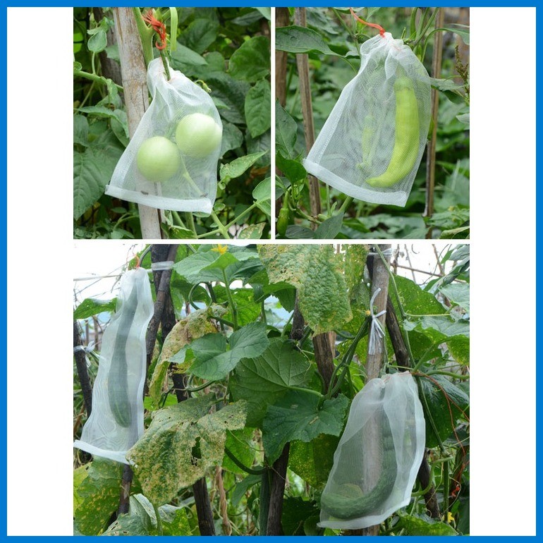 Insect-Proof Bag Fruit Fly-Proof Bird-Proof Bag Filter Screen Soaking ...