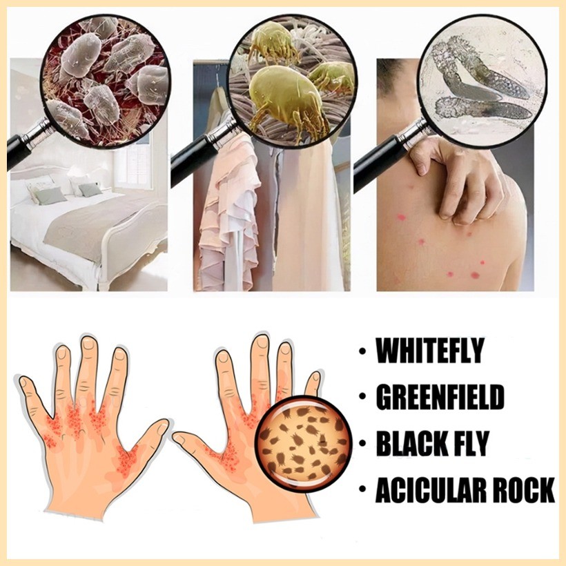 Bed Bugs Spray Effective Killer Natural Harmless to Human Body Pamatay ...