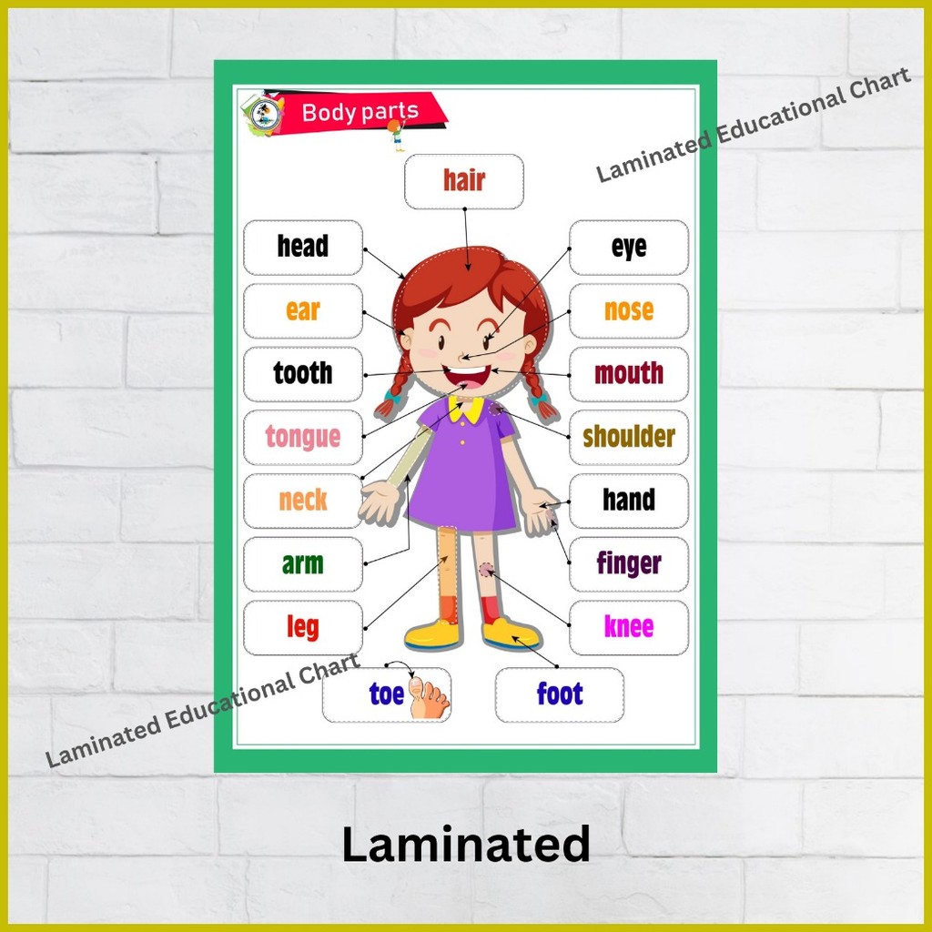 Laminated Parts of the Body Charts, Educational Charts for Kids ...