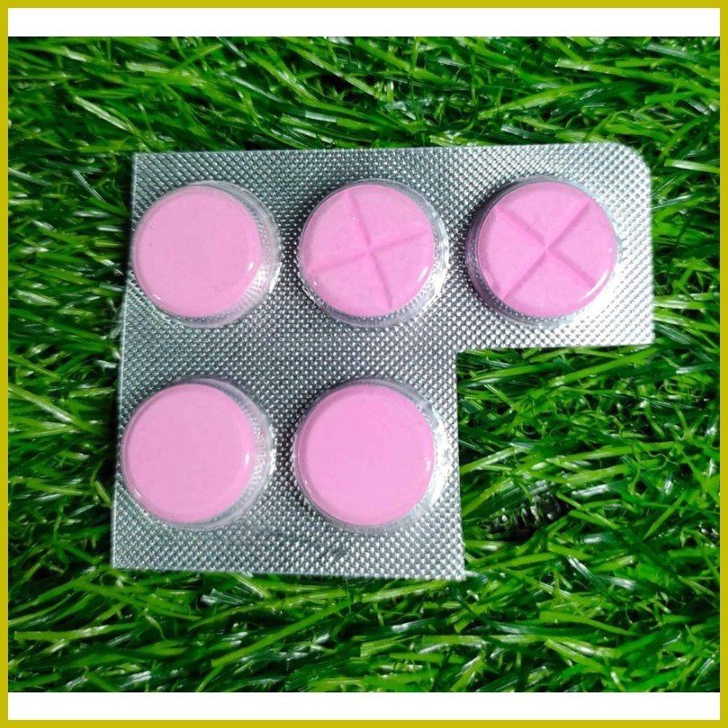 ♀ Animal Science Worm Rid Dewormer for Dogs (Sold per Tablet) | Shopee ...