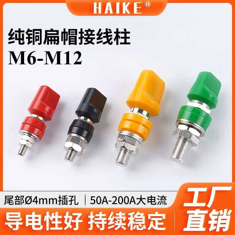 Pure Copper Flat Cap Binding Post M6*60/M8*61/M10*78/M12 High Current ...
