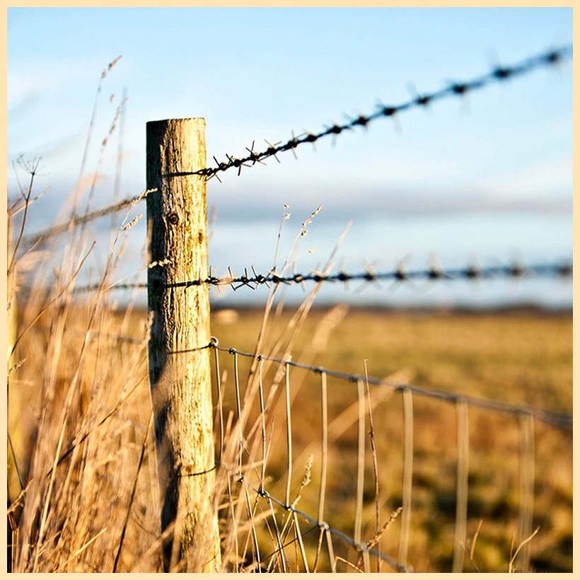 Barb Wire 1Roll Anti-Climb Steel Fencing Wire 50/80/100/120M Protect ...