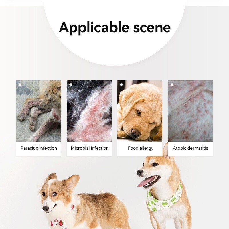 Apoquel Anti-itching Tablets For Dogs 1pc Pet Skin Protection Dogs ...