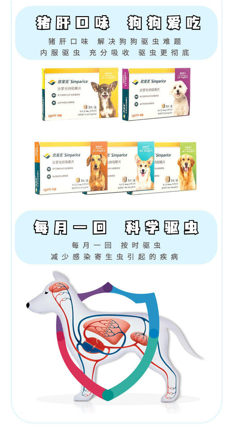 Anti Tick & Flea Chewable Tablet for Dogs Protection from Fleas and ...
