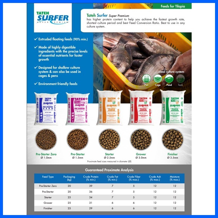♀ pre starter TATEH Aquafeeds 1KG Tilapia, Hito, Bangus, Koi, Good for ...