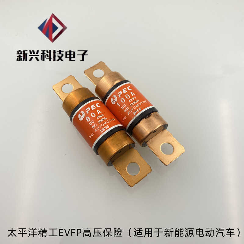 PEC Japan Pacific Seiko New Energy Electric Vehicle Fuse EVFP80A 100A ...