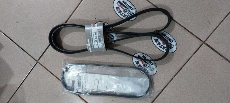 NP300,Terra Calibre, 16-21 fan ,Drive belt,Serpentine ( alternator ...