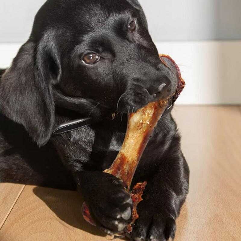 ㄖ Real Beef Shank Chew Natural Marrow Bone Healthy Dog Treats For Small ...